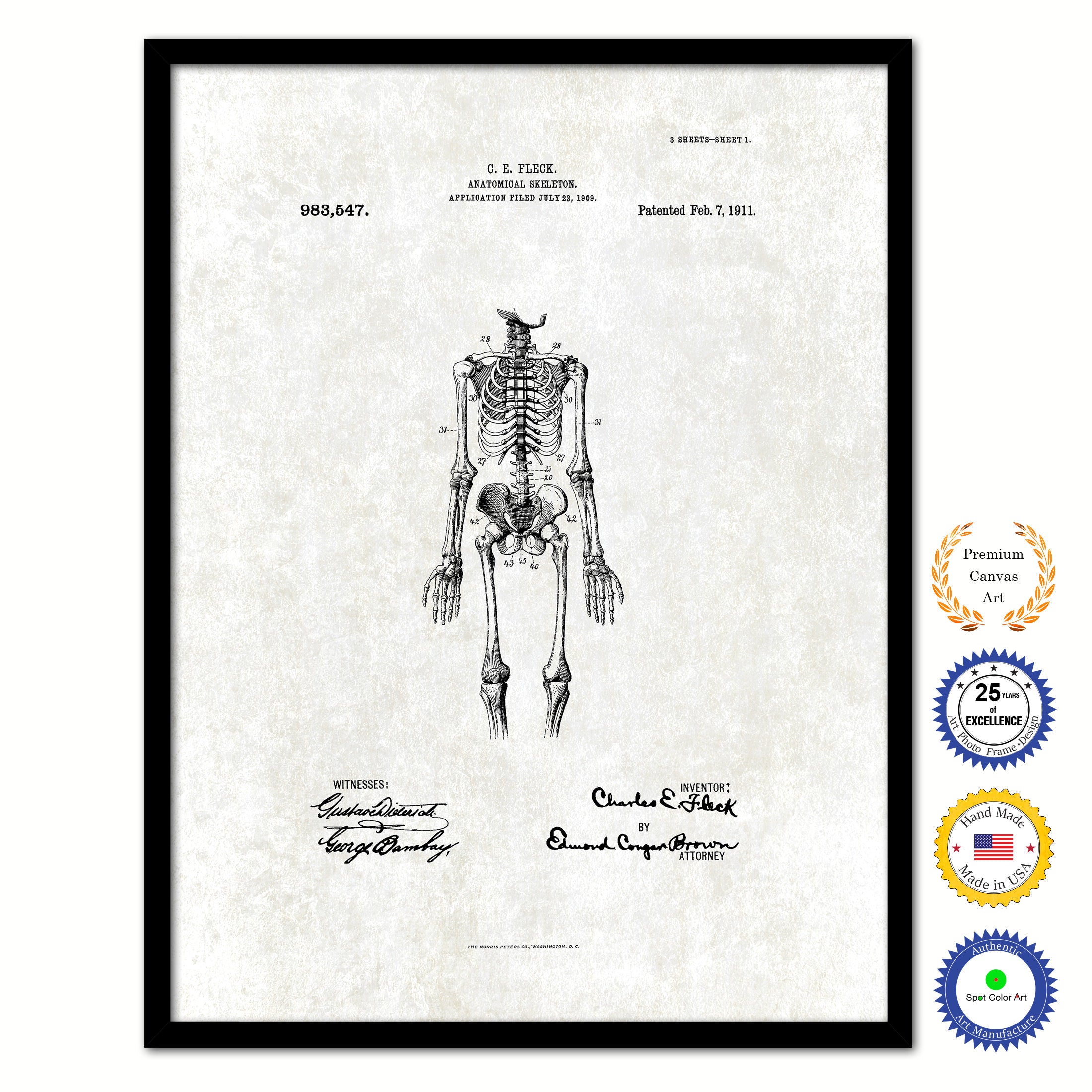 1911 Doctor Anatomical Skeleton Vintage Patent Artwork Black Framed ...
